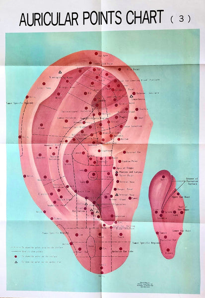 Ear Auricular Points Chart- Acupuncture Poster Buyamag – Buyamag INC