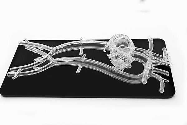 Heart Arterial Angioplasty Simulator Manikin | – Buyamag INC