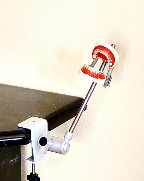 Dental Bench Mount Table Top Practice Train: – Buyamag INC