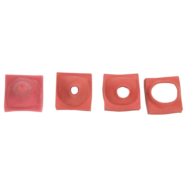 Cervical Dilation Labor Model-Simulator Buyamag – Buyamag INC