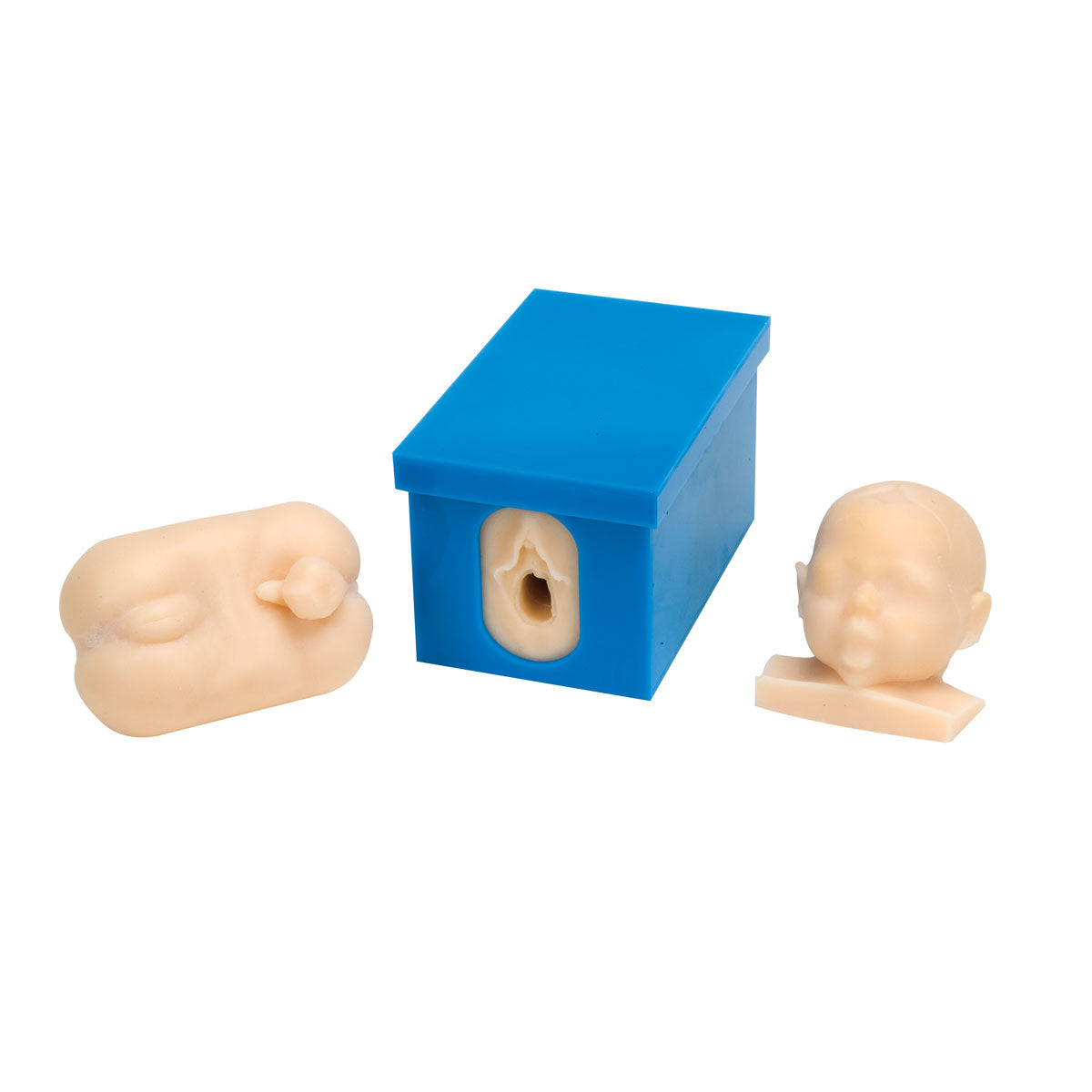 Cervical Dilation Labor Model-Simulator Buyamag – Buyamag INC