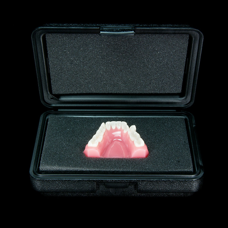 Dental Models Safe Storage Plastic Boxes | Buyamag – Buyamag INC