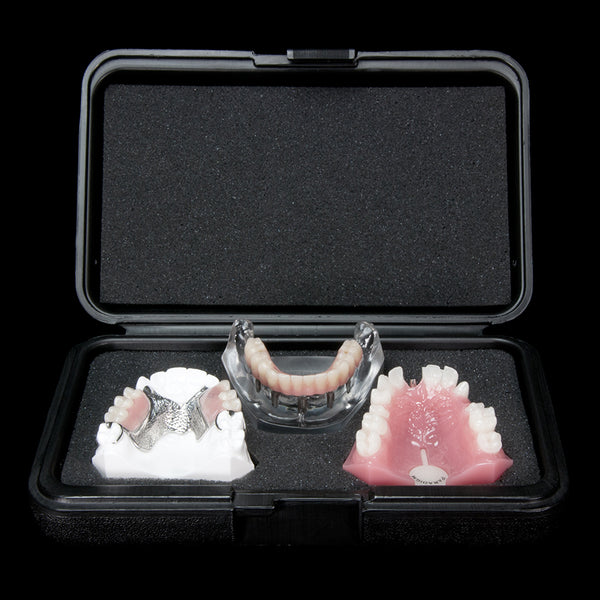 Dental Models Display Storage Carrying Boxes Buyamag – Buyamag INC