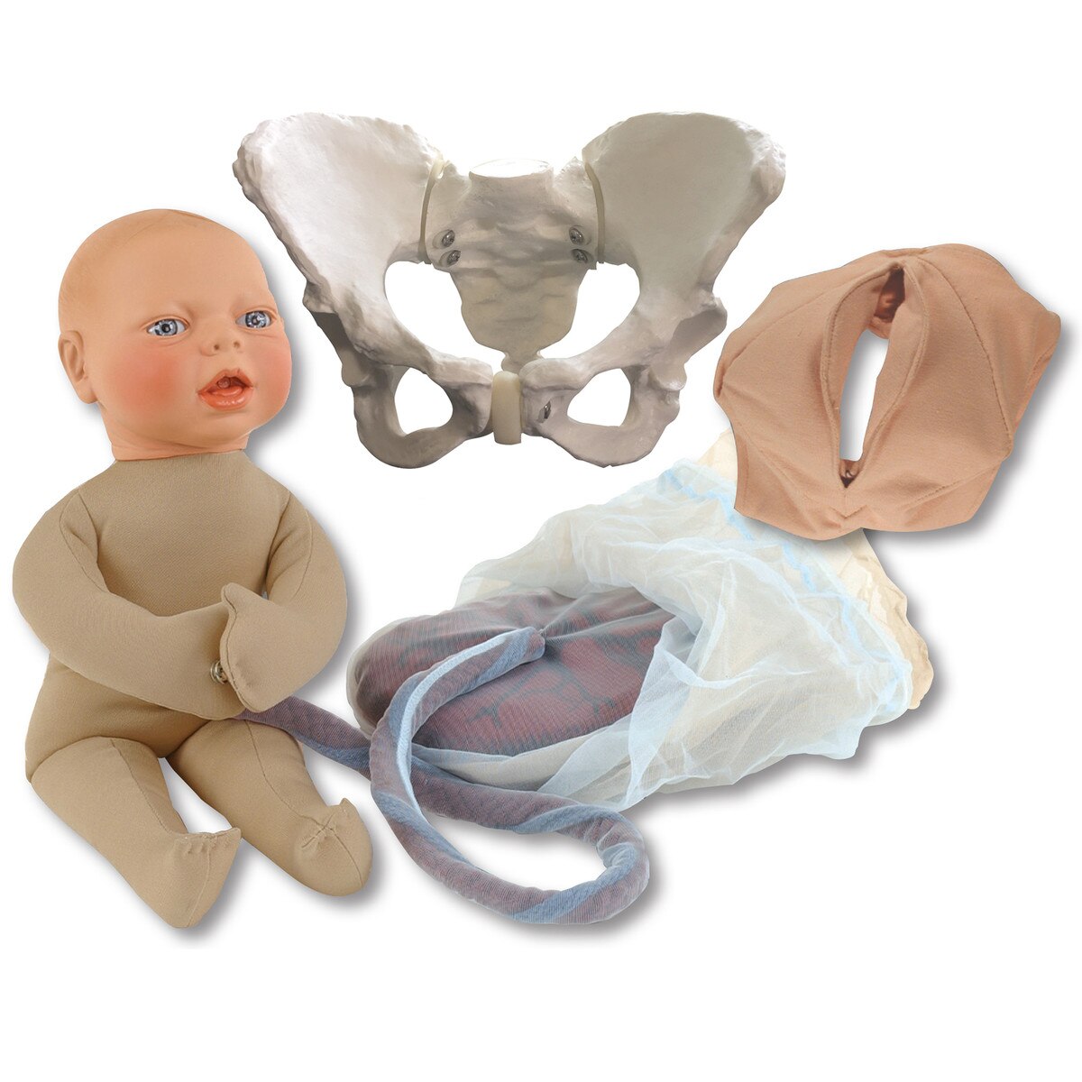 Labor Childbirth Simulator Obstetric- Model Buyamag – Buyamag INC