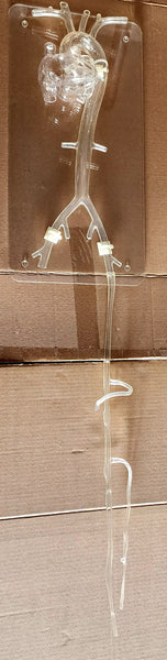 Leg Arterial Catheterization Heart Simulator- – Buyamag INC