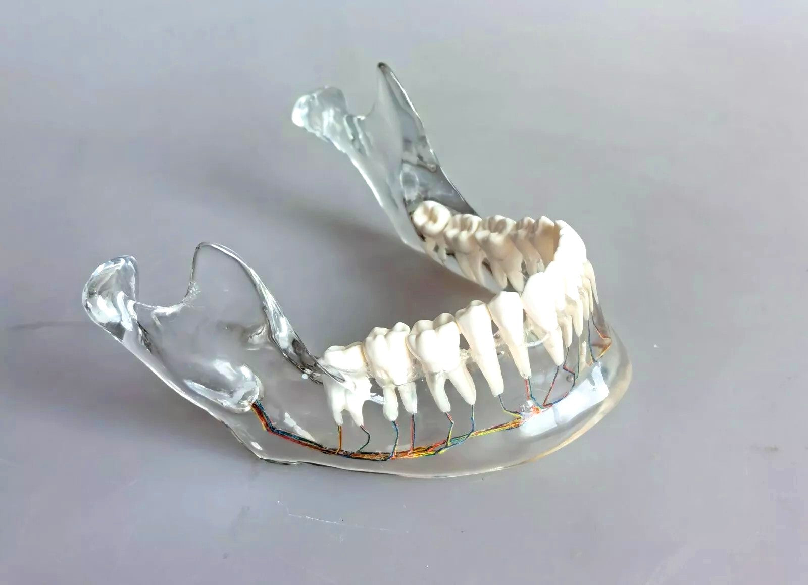 Maxillofacial Face Reconstruction Surgery Model- Buyamag – Buyamag INC