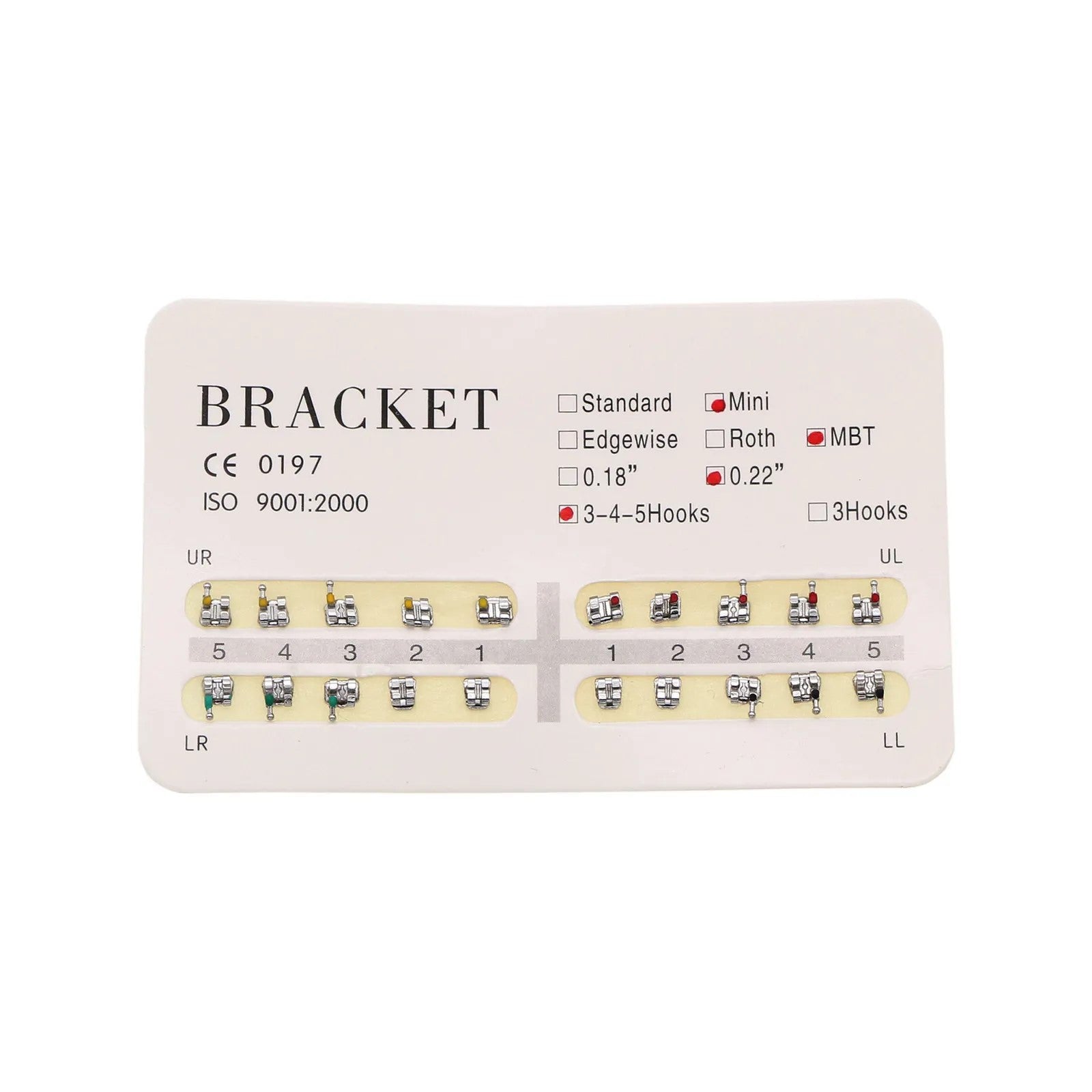 Orthodontic Appliances Model Installation: – Buyamag INC
