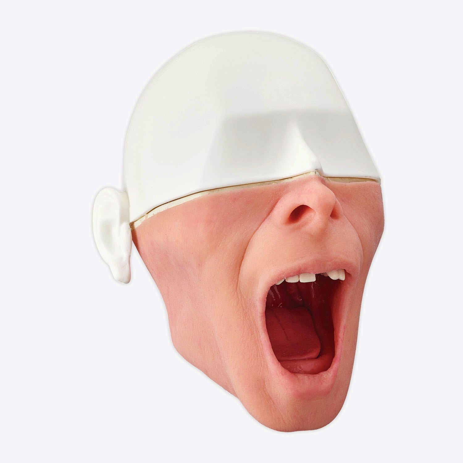Teeth Implantation Manikin Surgical Simulator: Buyamag – Buyamag INC