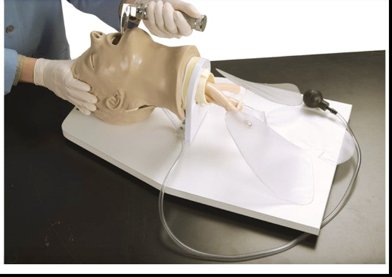 Airway Management Trainer Simulator: Manikin Buyamag – Buyamag INC