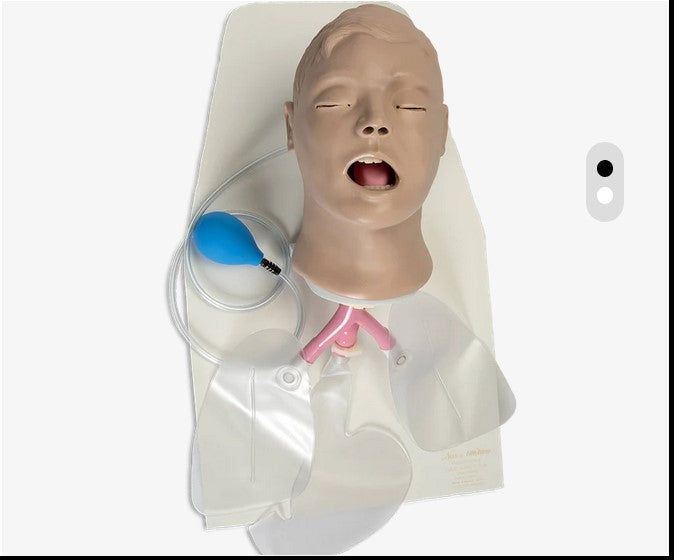 Airway Management Trainer Simulator: Manikin Buyamag – Buyamag INC