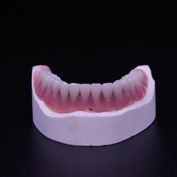 Dental Ceka Presi-Line Hader Bar Model Clips Buyamag – Buyamag INC