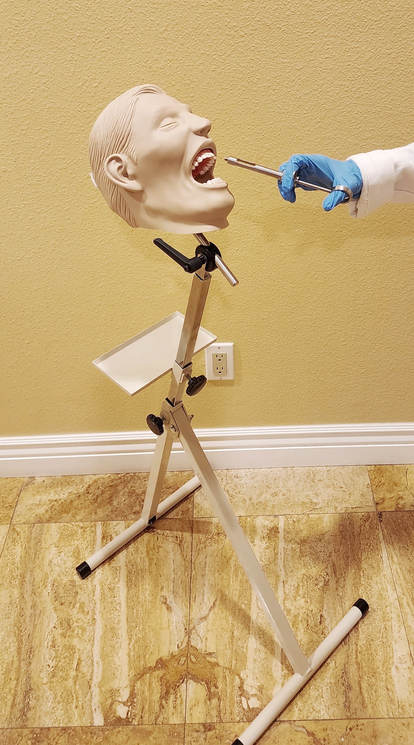 Dental Oral Anesthesia Manikin Simulator | Buyamag – Buyamag INC