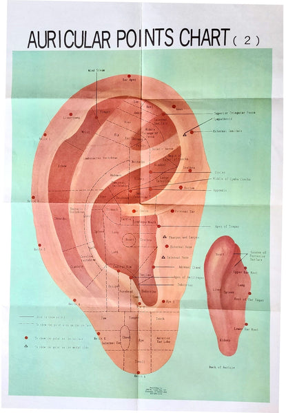 Ear Auricular Points Chart- Acupuncture Poster Buyamag – Buyamag INC
