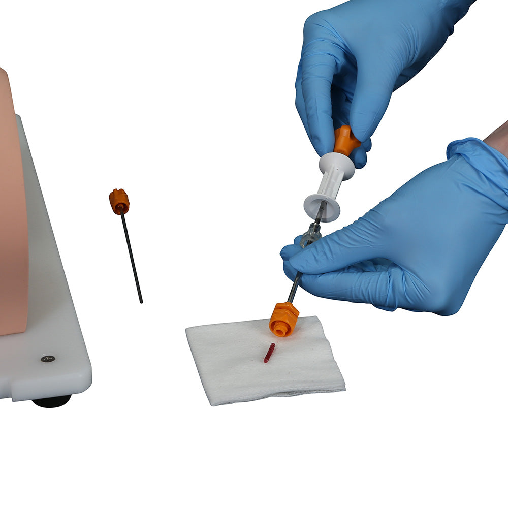 Bonnie Bone Marrow BIOPSY™ Skills Trainer Simulator – Buyamag INC