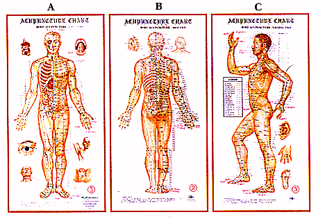 Acupuncture Points Posters- Meridians Charts – Buyamag INC