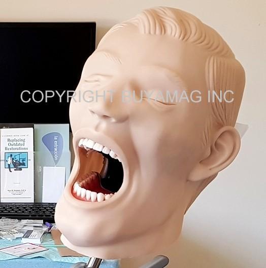 Dental Manikin Face Mask- Flexible Skin Like Buyamag – Buyamag INC