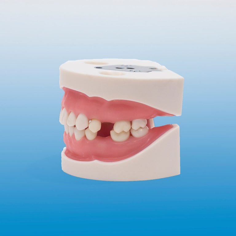 Dental Implants Training: Gum Suture Model Buyamag – Buyamag INC