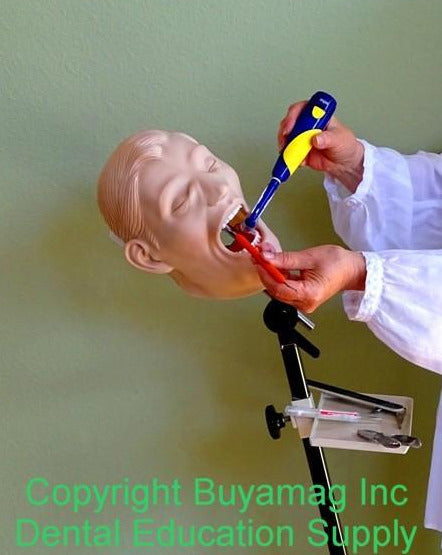 Dental Portable Mount -Training Demonstration Buyamag – Buyamag INC