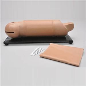 Female Contraceptive Insertion Arm Training Model – Buyamag INC