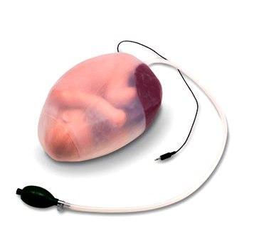 Obstetric ChildBirth | Simulator Model Buyamag Inc – Buyamag INC