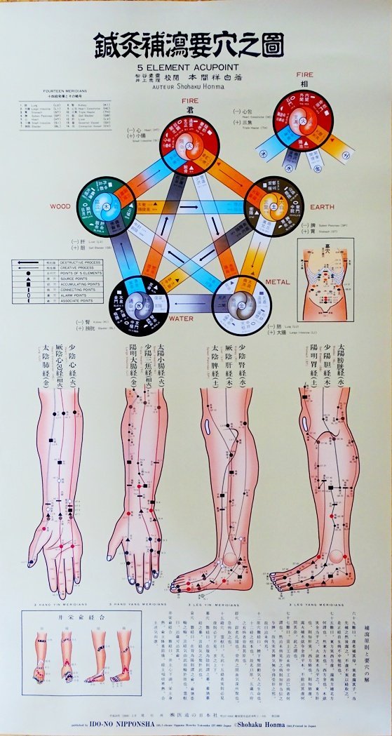 Acupuncture Five Element Chart: Poster Buyamag – Buyamag INC