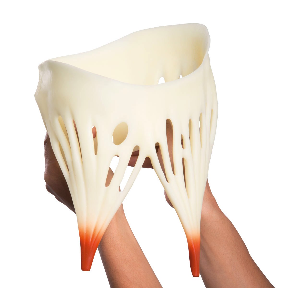 Giant Heart Model 8 Times Anatomically Correct- – Buyamag INC