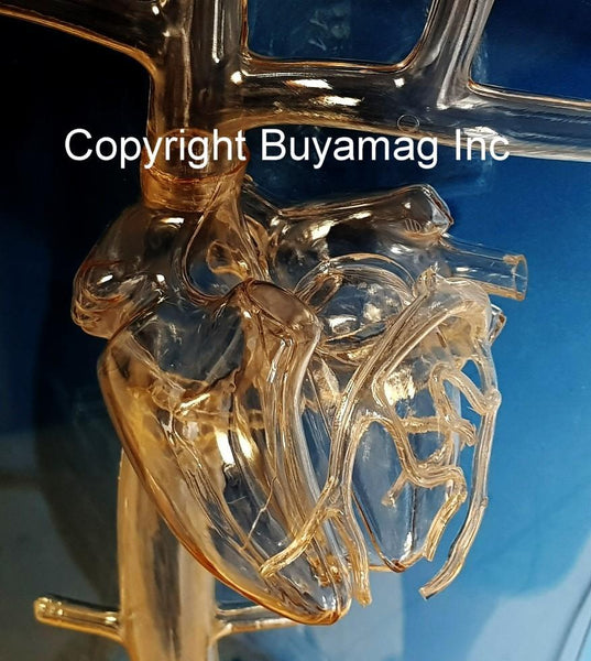 Heart Catheterization: Training Simulator – Buyamag INC