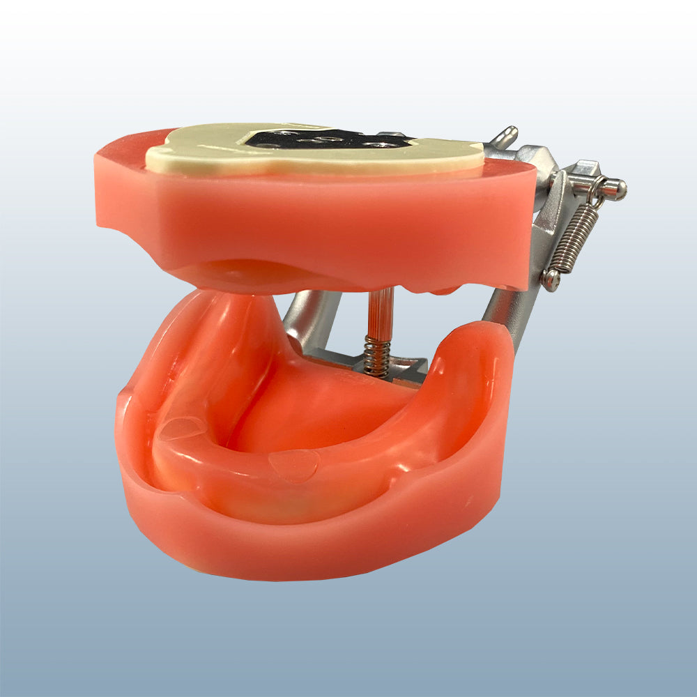 Dental Impression Taking Model Edentulous Buyamag – Buyamag INC