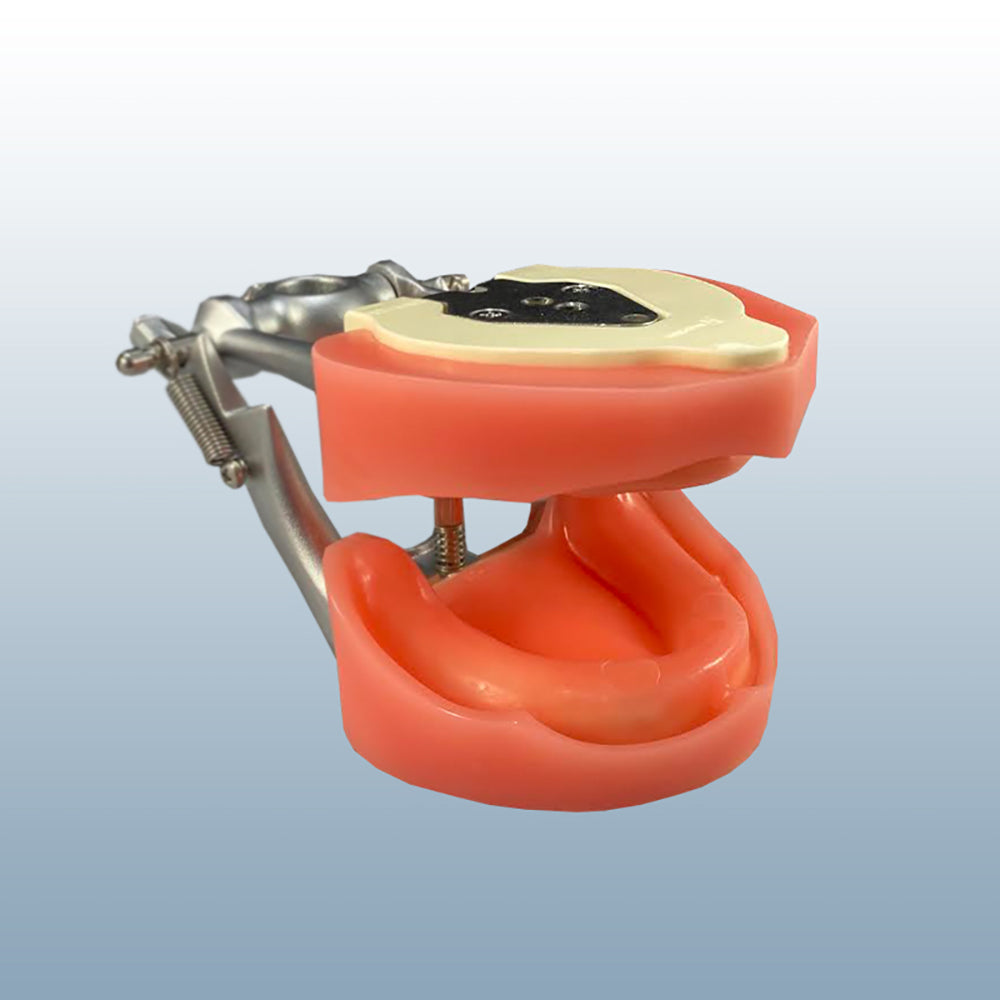 Dental Impression Taking Model Edentulous Buyamag – Buyamag INC