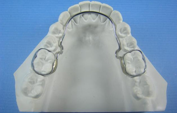 Lingual Arch Loops Retainer | Ortho Model Buyamag – Buyamag INC