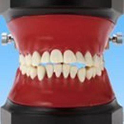 Orthodontic Articulator Occluder Typodont Wax Form- Buyamag – Buyamag INC
