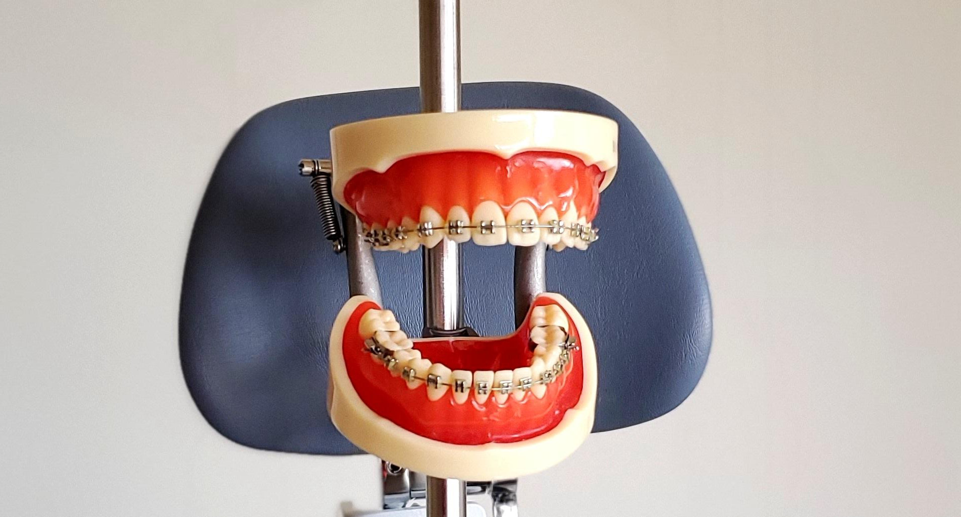 Orthodontic Ligature Tying Typodont Model | Buyamag – Buyamag INC