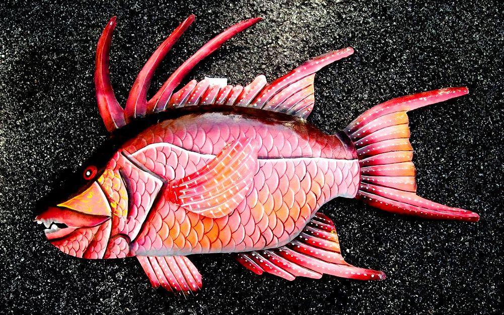 Hogfish Wall Mount Metal Replica Decor 42" or 25" Long 3D – Buyamag INC