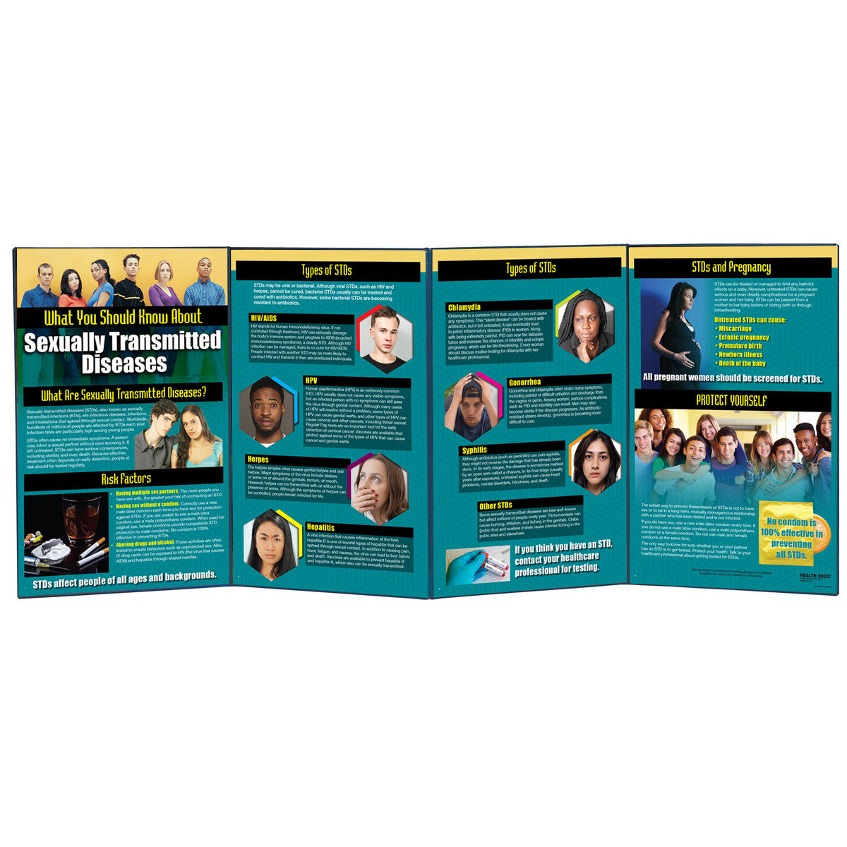 Sexually Transmitted Diseases Display Model – Buyamag INC